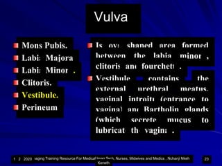 Pelvic ultrasound radiology training resource nchanji nkeh keneth | PDF