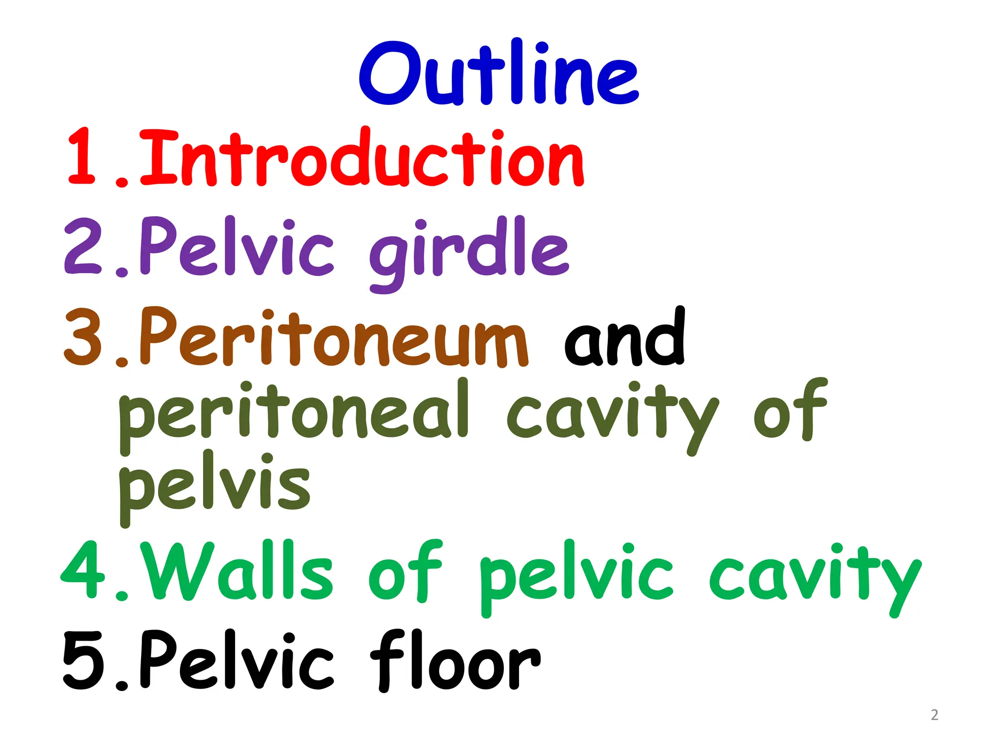 Pelvic Wall.pptx