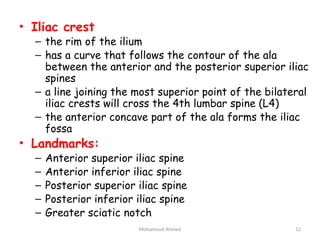 introduction of Pelvic Wall and muscle.pptx