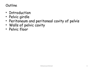 introduction of Pelvic Wall and muscle.pptx
