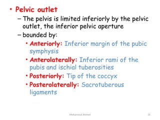 introduction of Pelvic Wall and muscle.pptx