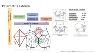 Pelvimetría.pptx