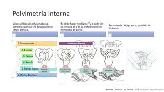 Pelvimetría.pptx