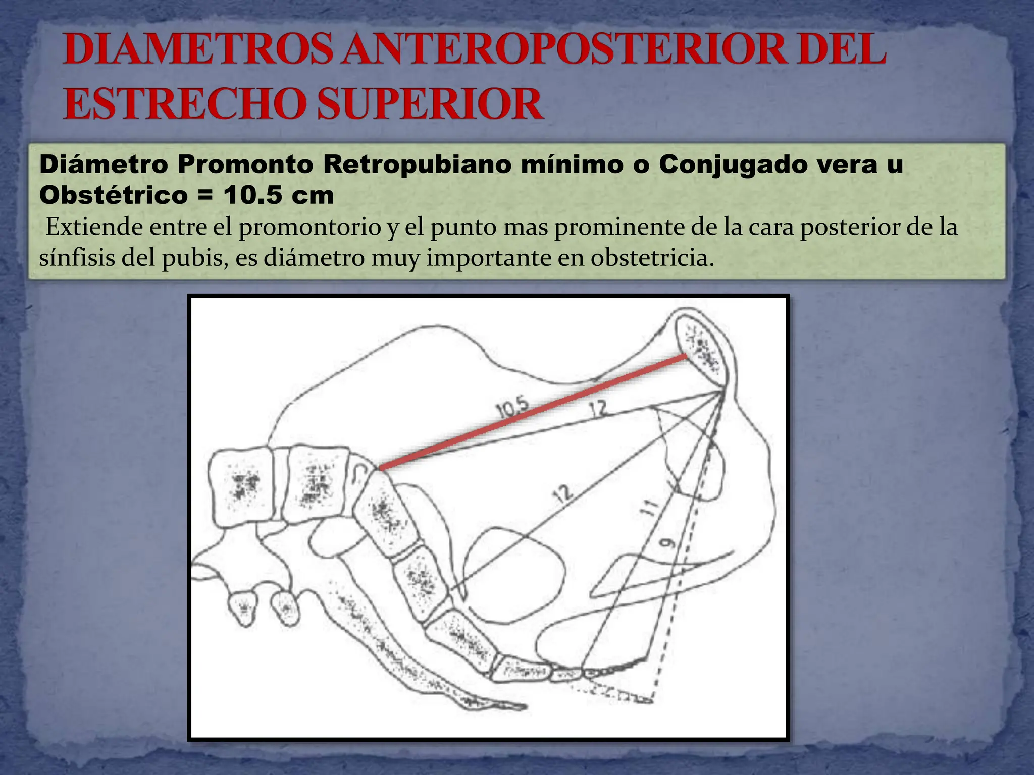 PELVIMETRÍA PELVIS VERDADERA. ANATOMÍA DE PELVIS | PPTX