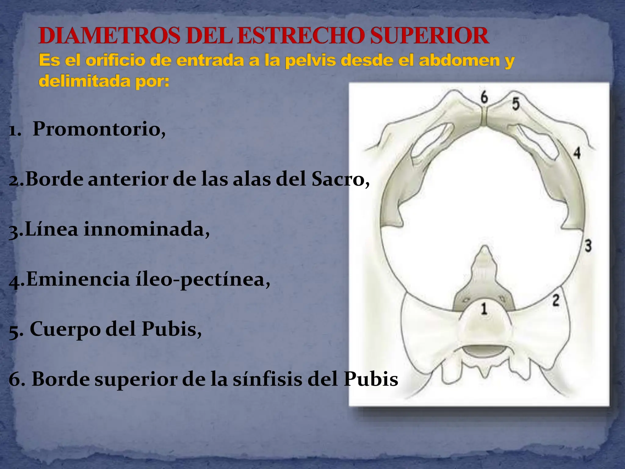 PELVIMETRÍA PELVIS VERDADERA. ANATOMÍA DE PELVIS | PPTX