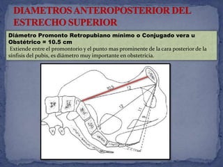 PELVIMETRÍA PELVIS VERDADERA. ANATOMÍA DE PELVIS | PPTX