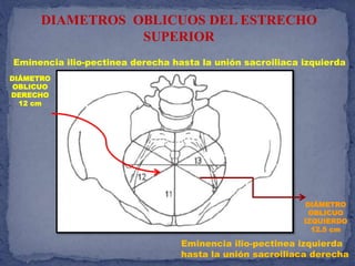 PELVIMETRÍA PELVIS VERDADERA. ANATOMÍA DE PELVIS | PPTX