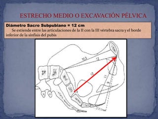 PELVIMETRÍA PELVIS VERDADERA. ANATOMÍA DE PELVIS | PPTX