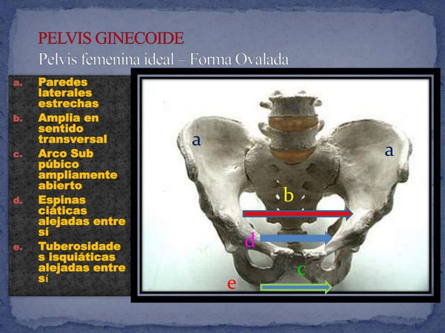 PELVIMETRÍA PELVIS VERDADERA. ANATOMÍA DE PELVIS | PPTX