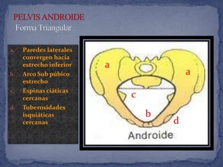 PELVIMETRÍA PELVIS VERDADERA. ANATOMÍA DE PELVIS | PPTX
