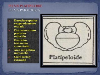 PELVIMETRÍA PELVIS VERDADERA. ANATOMÍA DE PELVIS | PPTX