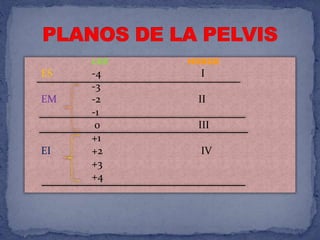 PELVIMETRÍA PELVIS VERDADERA. ANATOMÍA DE PELVIS | PPTX