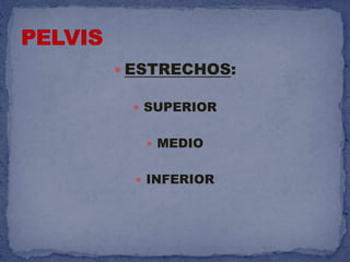 PELVIMETRÍA PELVIS VERDADERA. ANATOMÍA DE PELVIS | PPTX