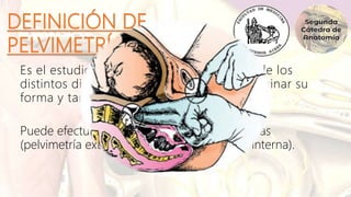 Conceptos básicos de Pelvis ósea y Pelvimetría | PPTX