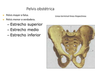 PELVIMETRIA.pptx