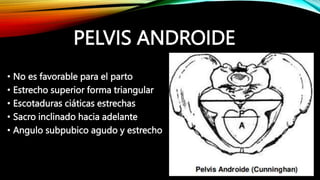 PELVIMETRIA FINAL..pptx