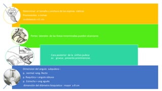 Pelvimetria interna | PPTX