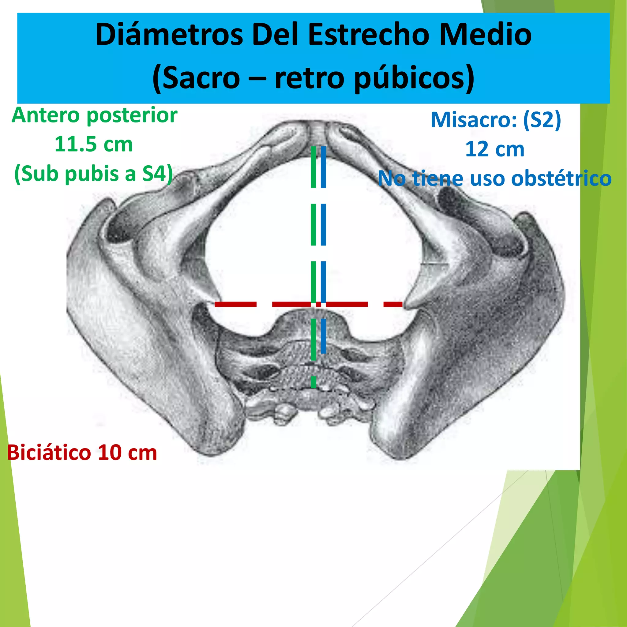Pelvimetria interna movimientos_cardinales_ximena_beltran_alva | PPTX ...