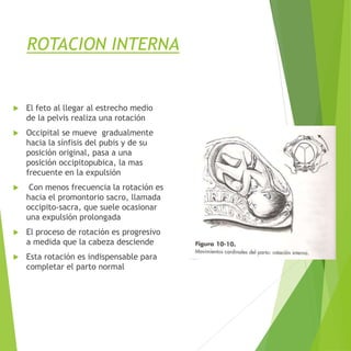 Pelvimetria interna movimientos_cardinales_ximena_beltran_alva | PPTX