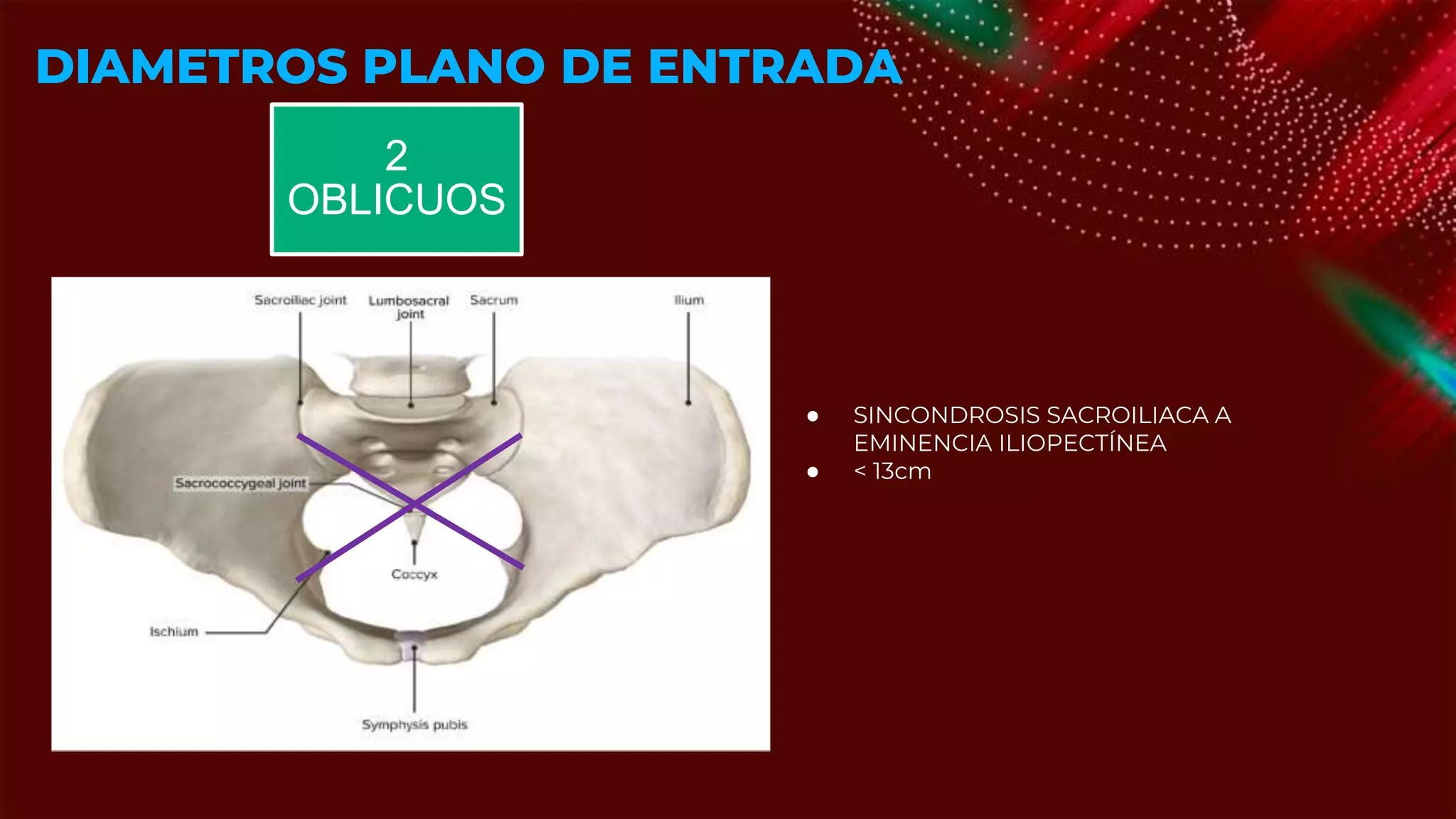 PELVIMETRÍA, PLANOS DE HODGE, DIAMETROS Y EJES DE LA PELVIS .pptx