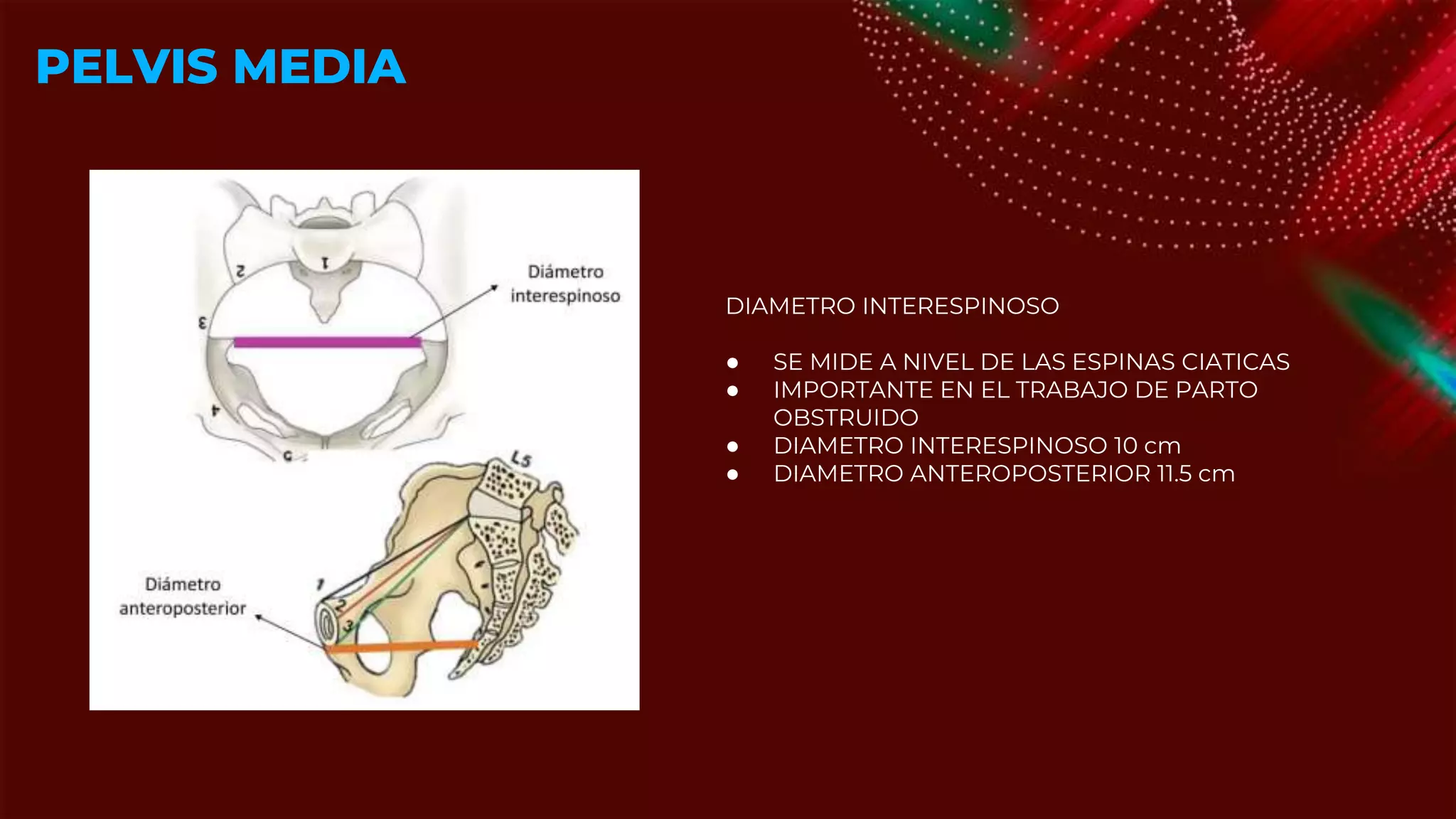 PELVIMETRÍA, PLANOS DE HODGE, DIAMETROS Y EJES DE LA PELVIS .pptx