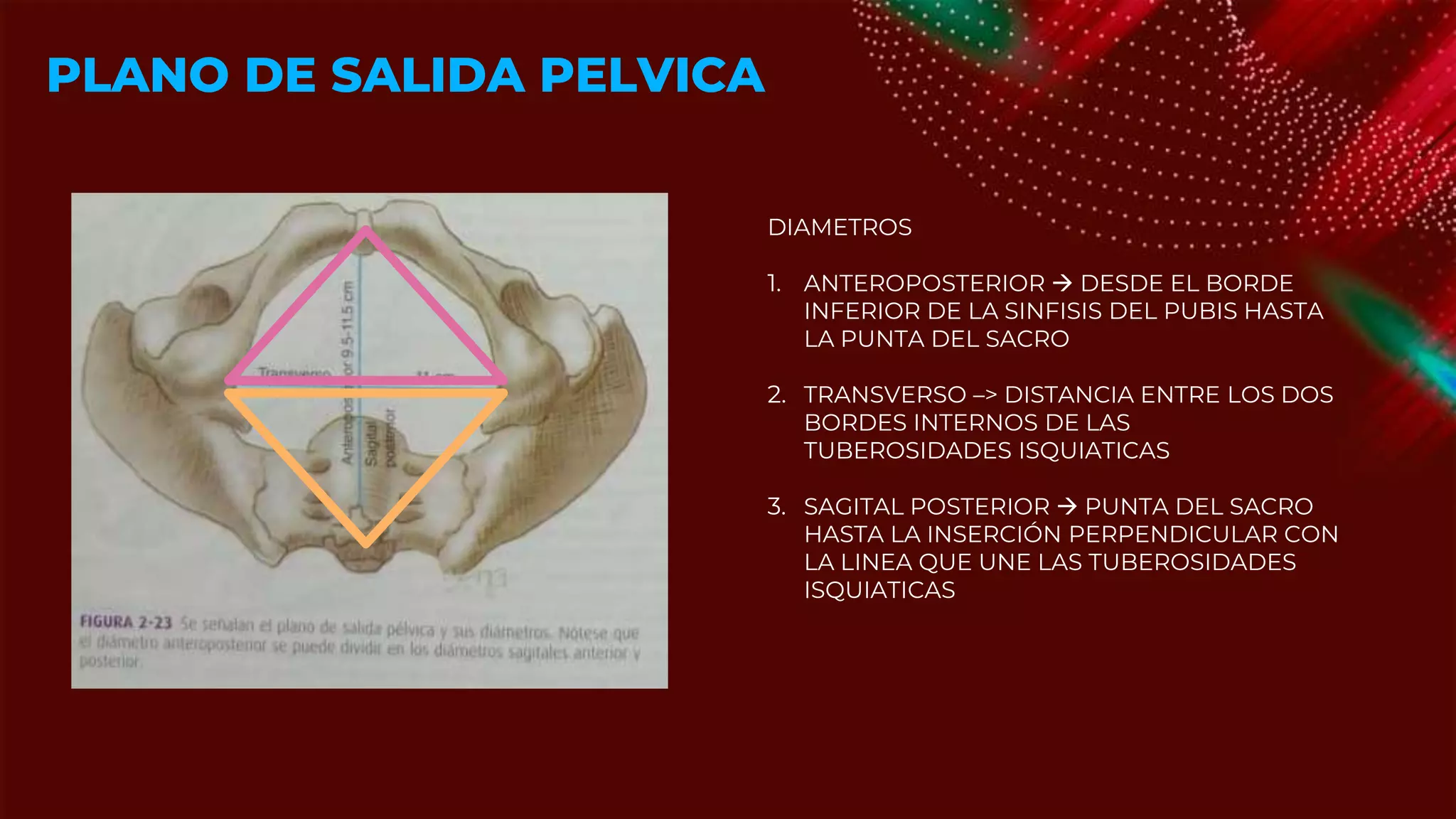 PELVIMETRÍA, PLANOS DE HODGE, DIAMETROS Y EJES DE LA PELVIS .pptx