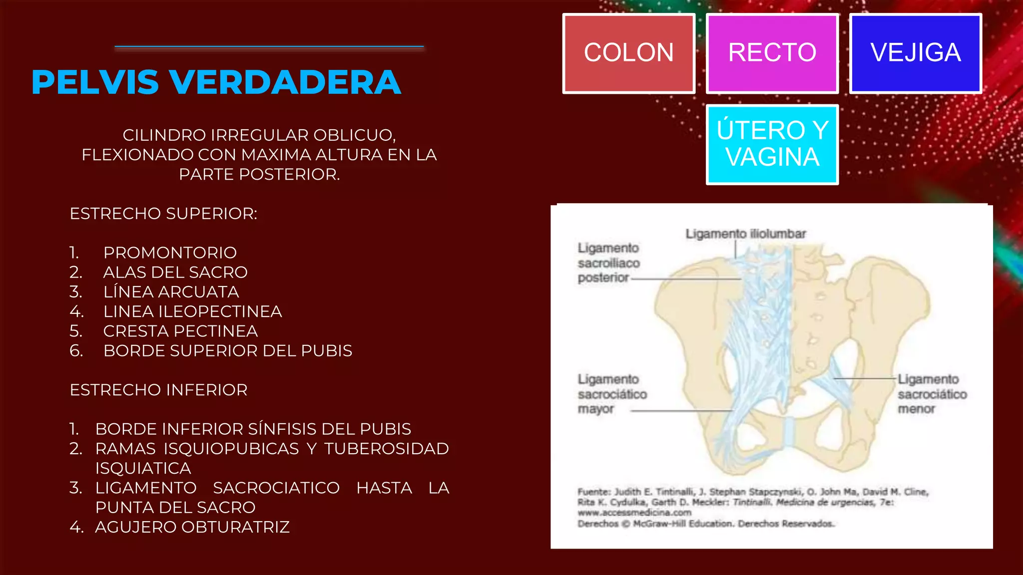 PELVIMETRÍA, PLANOS DE HODGE, DIAMETROS Y EJES DE LA PELVIS .pptx