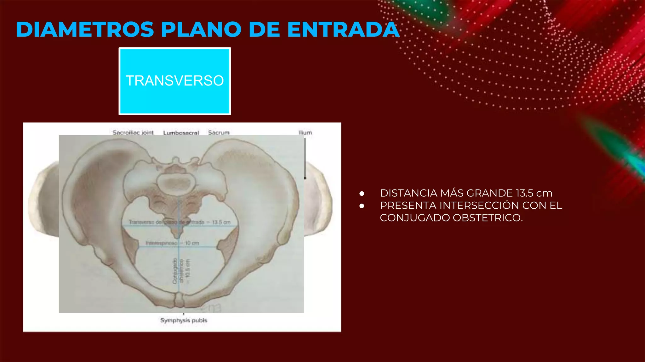 PELVIMETRÍA, PLANOS DE HODGE, DIAMETROS Y EJES DE LA PELVIS .pptx