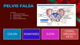 PELVIMETRÍA, PLANOS DE HODGE, DIAMETROS Y EJES DE LA PELVIS .pptx