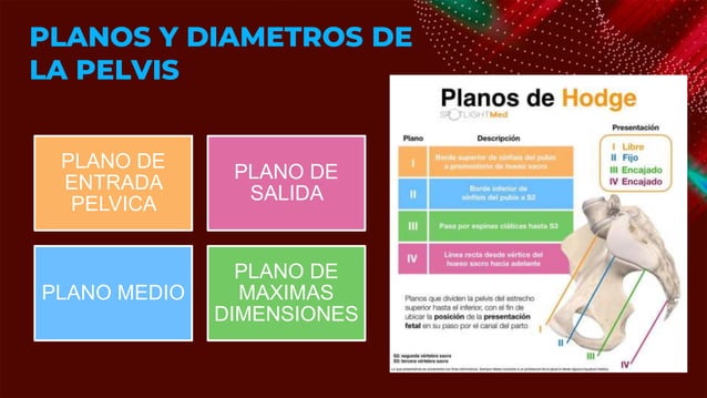 PELVIMETRÍA, PLANOS DE HODGE, DIAMETROS Y EJES DE LA PELVIS .pptx