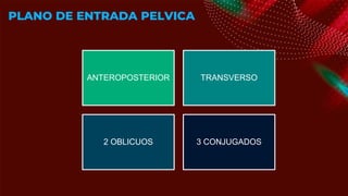 PELVIMETRÍA, PLANOS DE HODGE, DIAMETROS Y EJES DE LA PELVIS .pptx