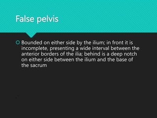 PELVIMETRY.pptx