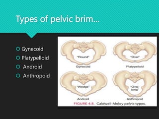 PELVIMETRY.pptx