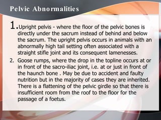 Pelvimetry, pelvic abnormalities,congenital defects of female rep.tract ...