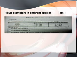 Pelvimetry, pelvic abnormalities,congenital defects of female rep.tract ...