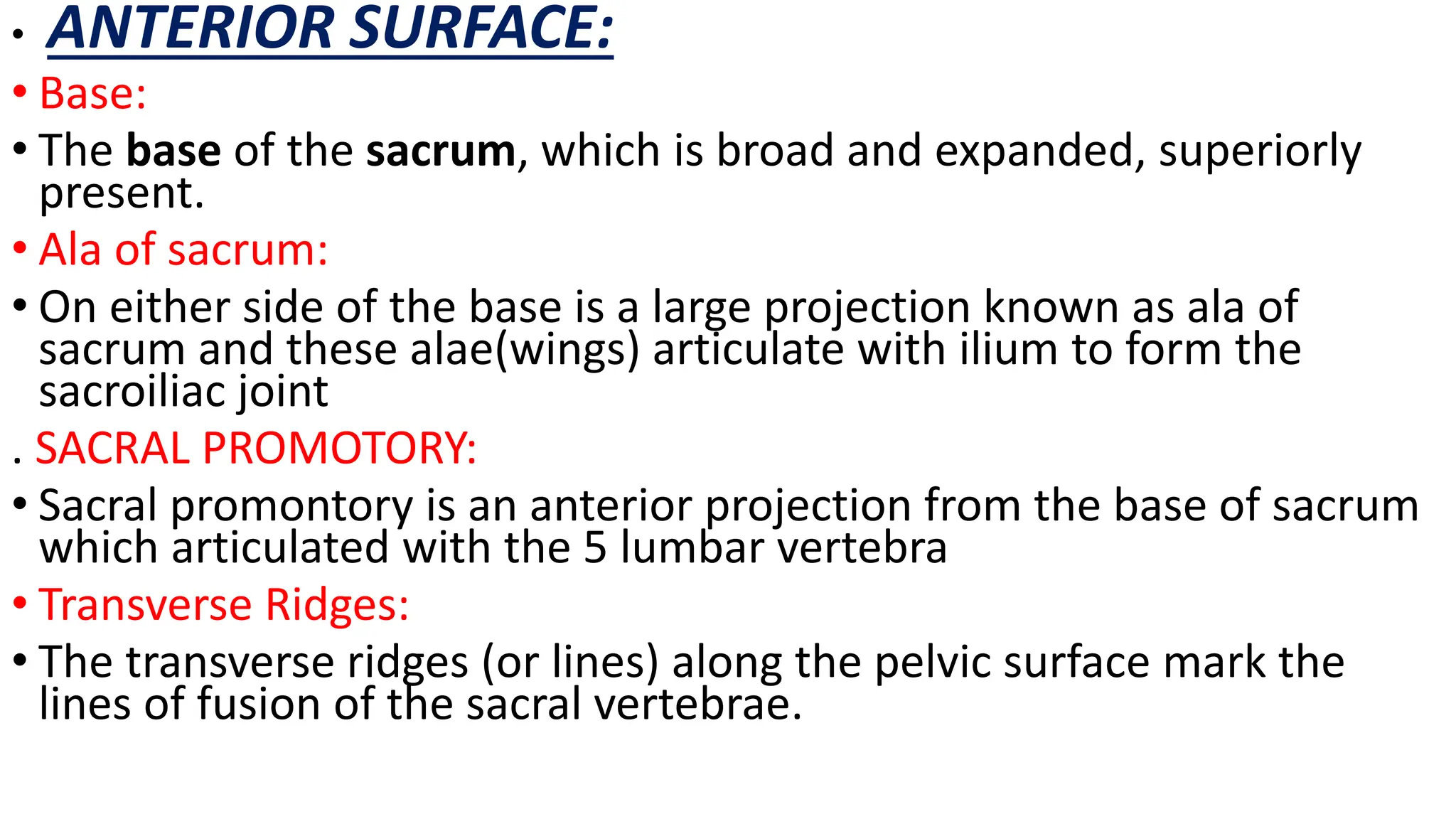 pelvis anotamy lecture mbbs student -1.pptx