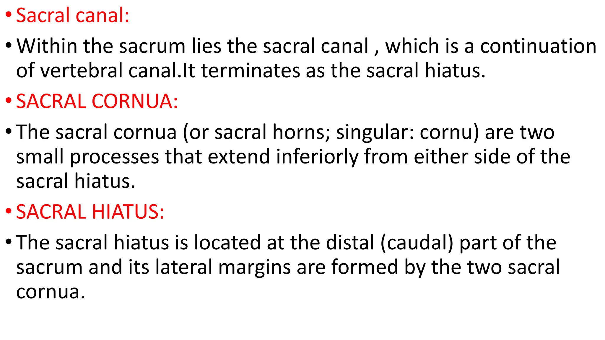 pelvis anotamy lecture mbbs student -1.pptx