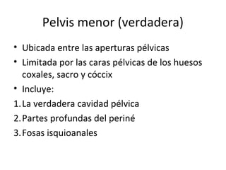 Pelvis Ppt