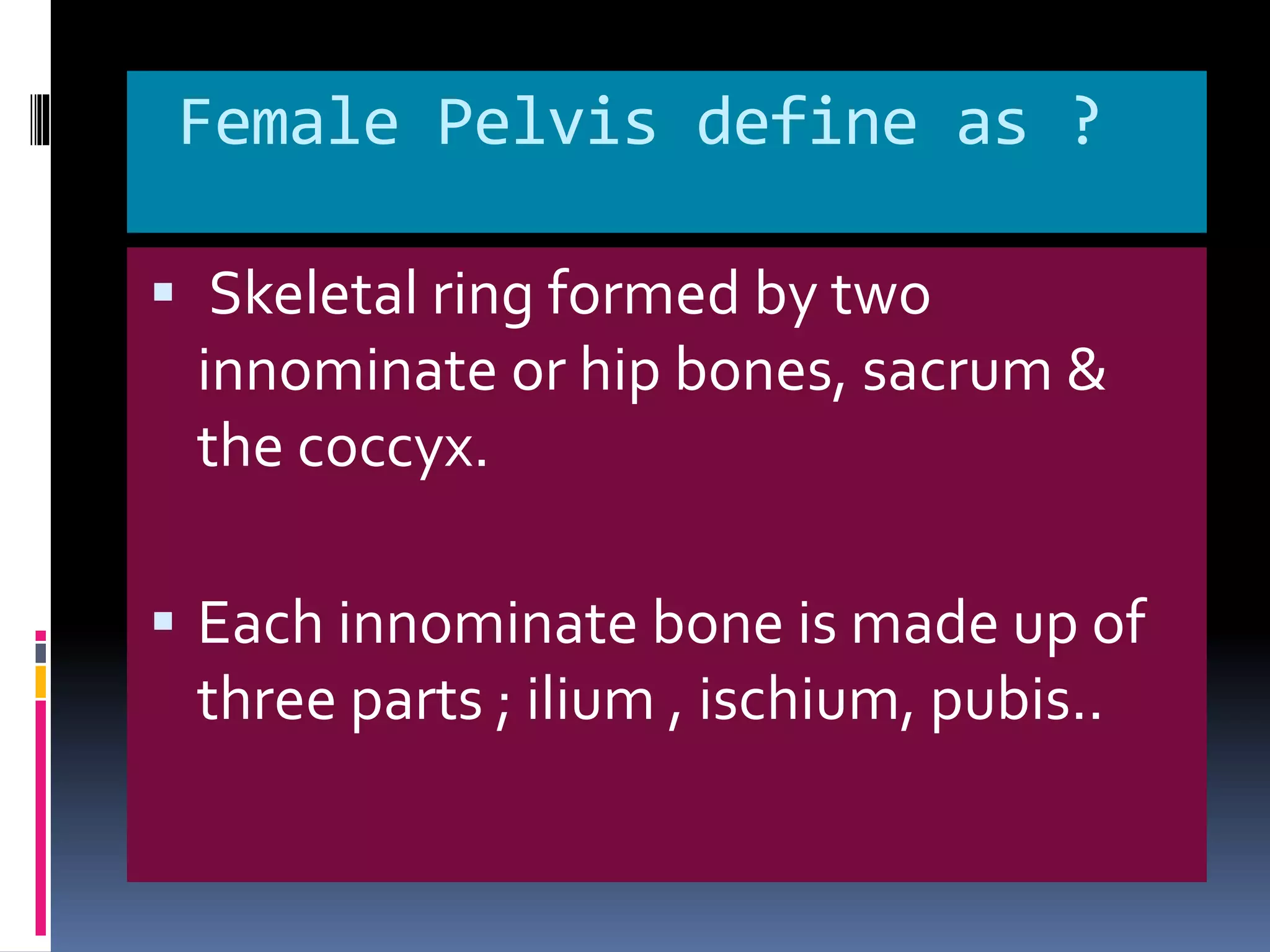 Pelvis | PPTX