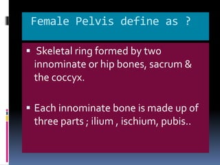 Pelvis | PPTX