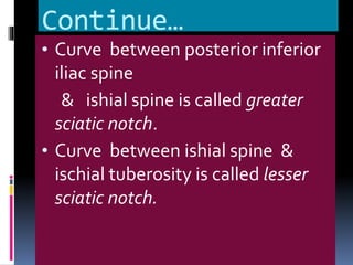 Pelvis | PPTX