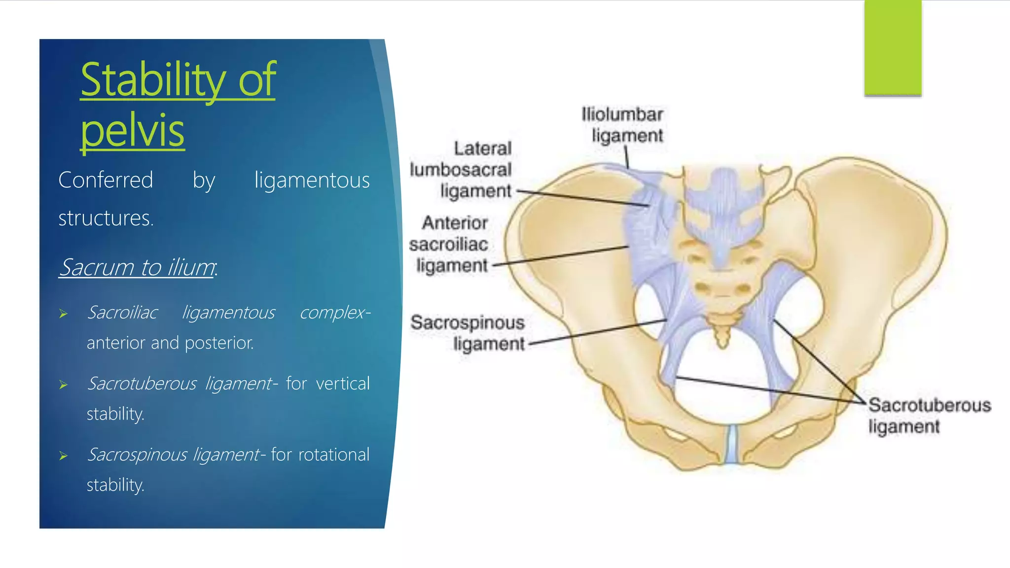 Pelvis fracture dislocation | PPTX