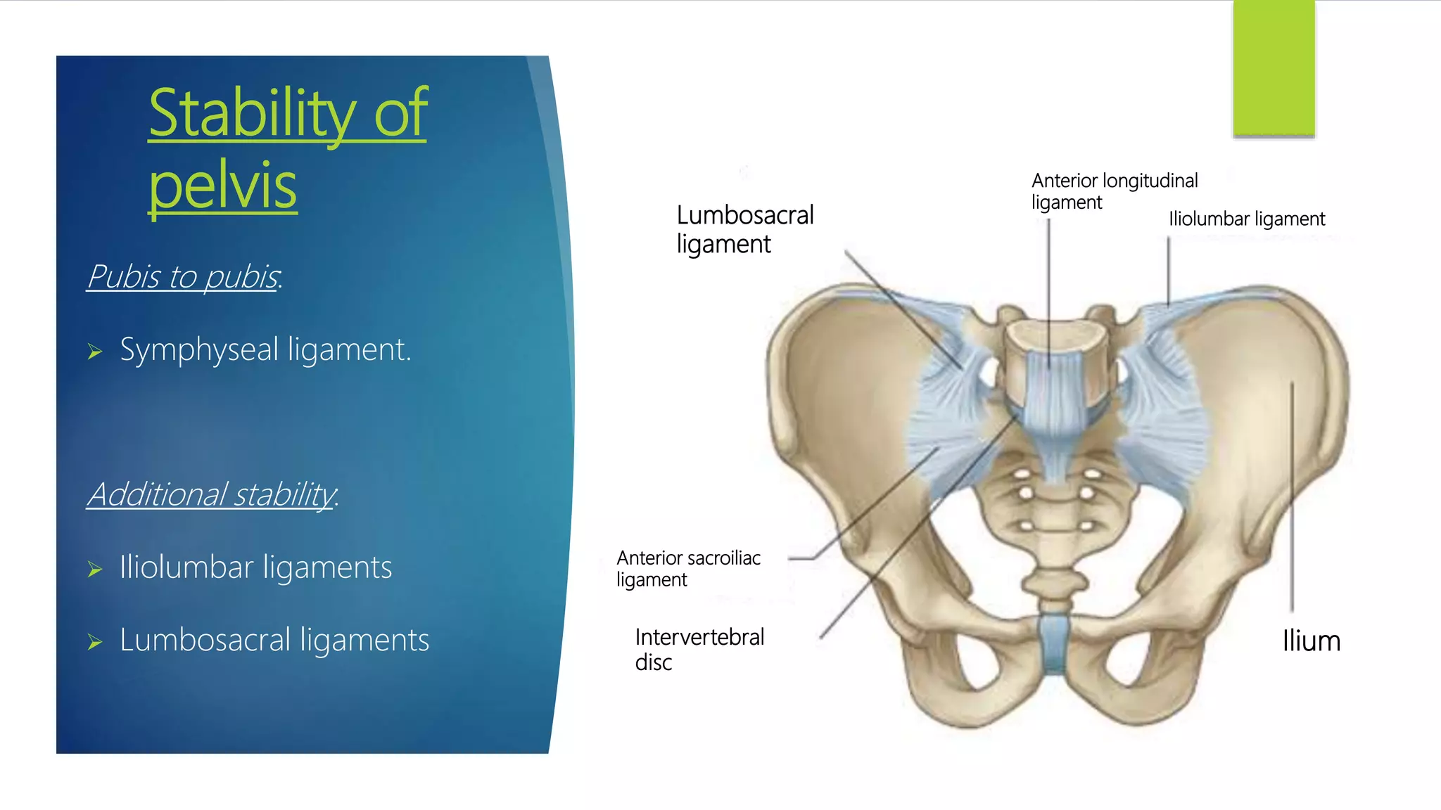 Pelvis fracture dislocation | PPTX