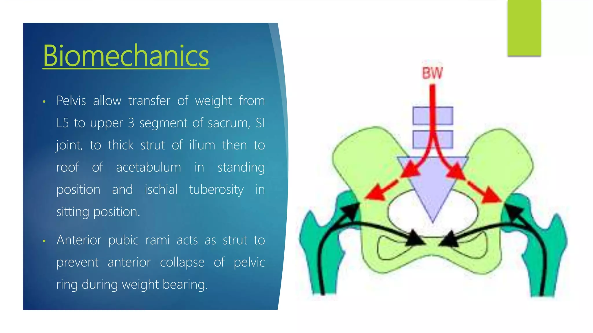 Pelvis fracture dislocation | PPTX