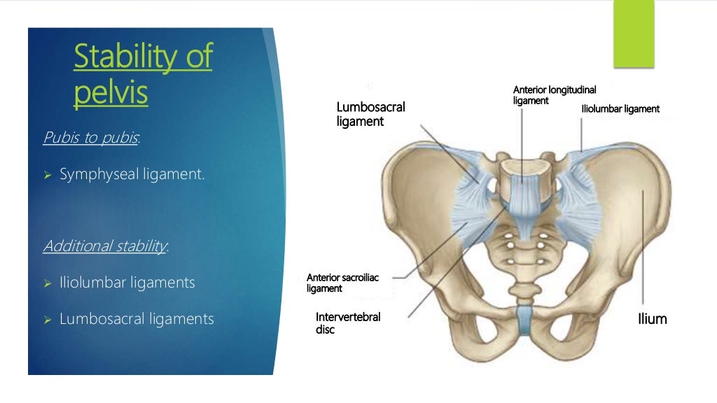 Pelvis fracture dislocation