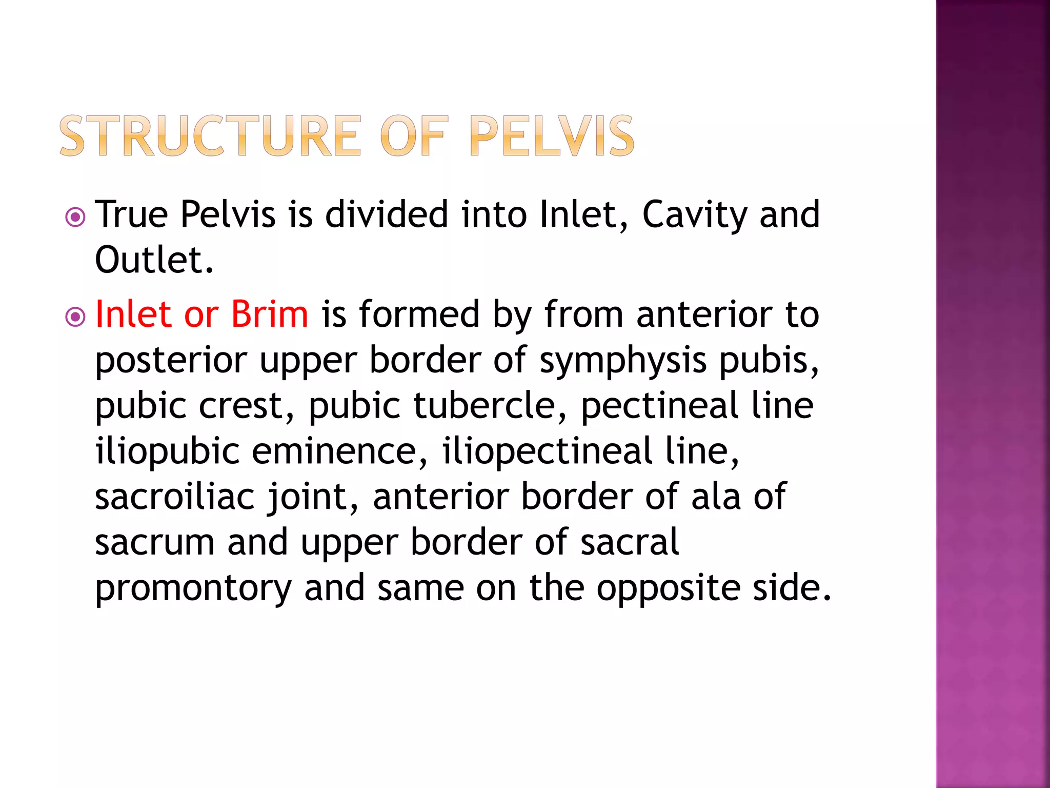 Pelvis - Obstetrical Significance | PPTX