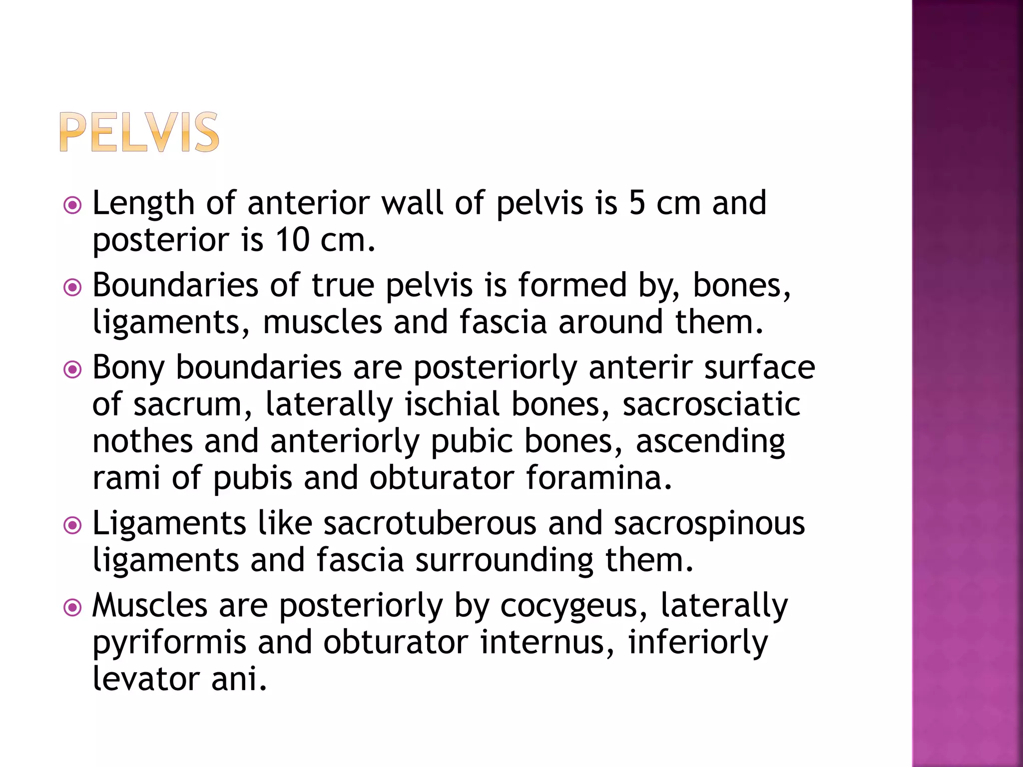 Pelvis - Obstetrical Significance | PPTX