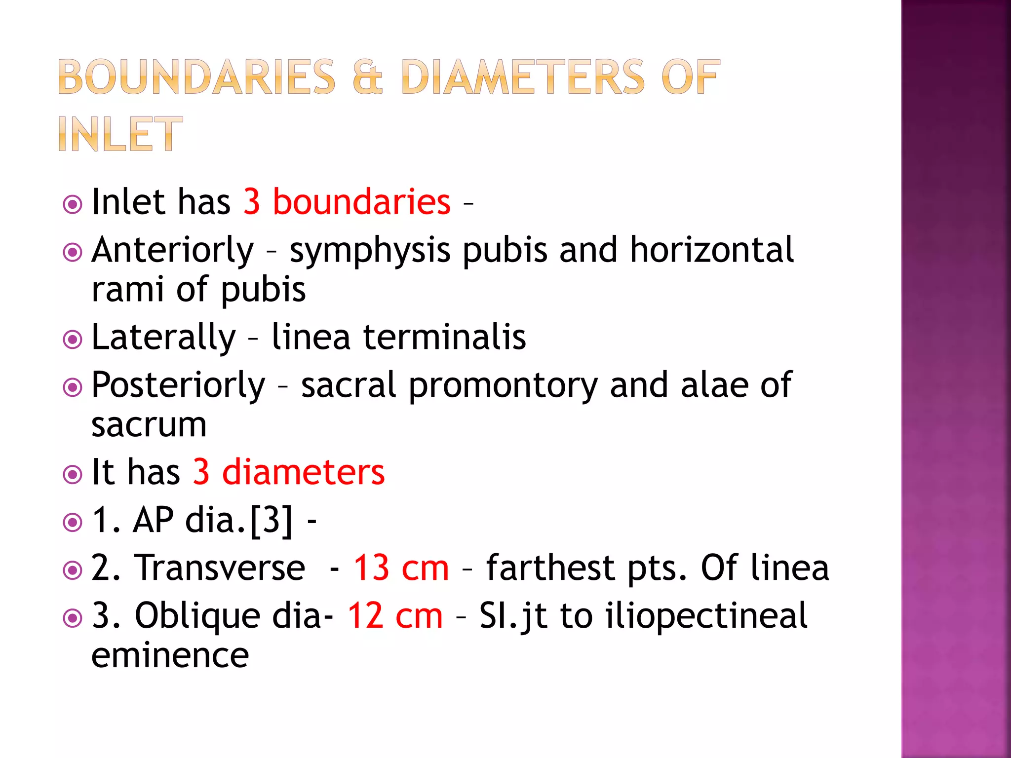 Pelvis - Obstetrical Significance | PPTX