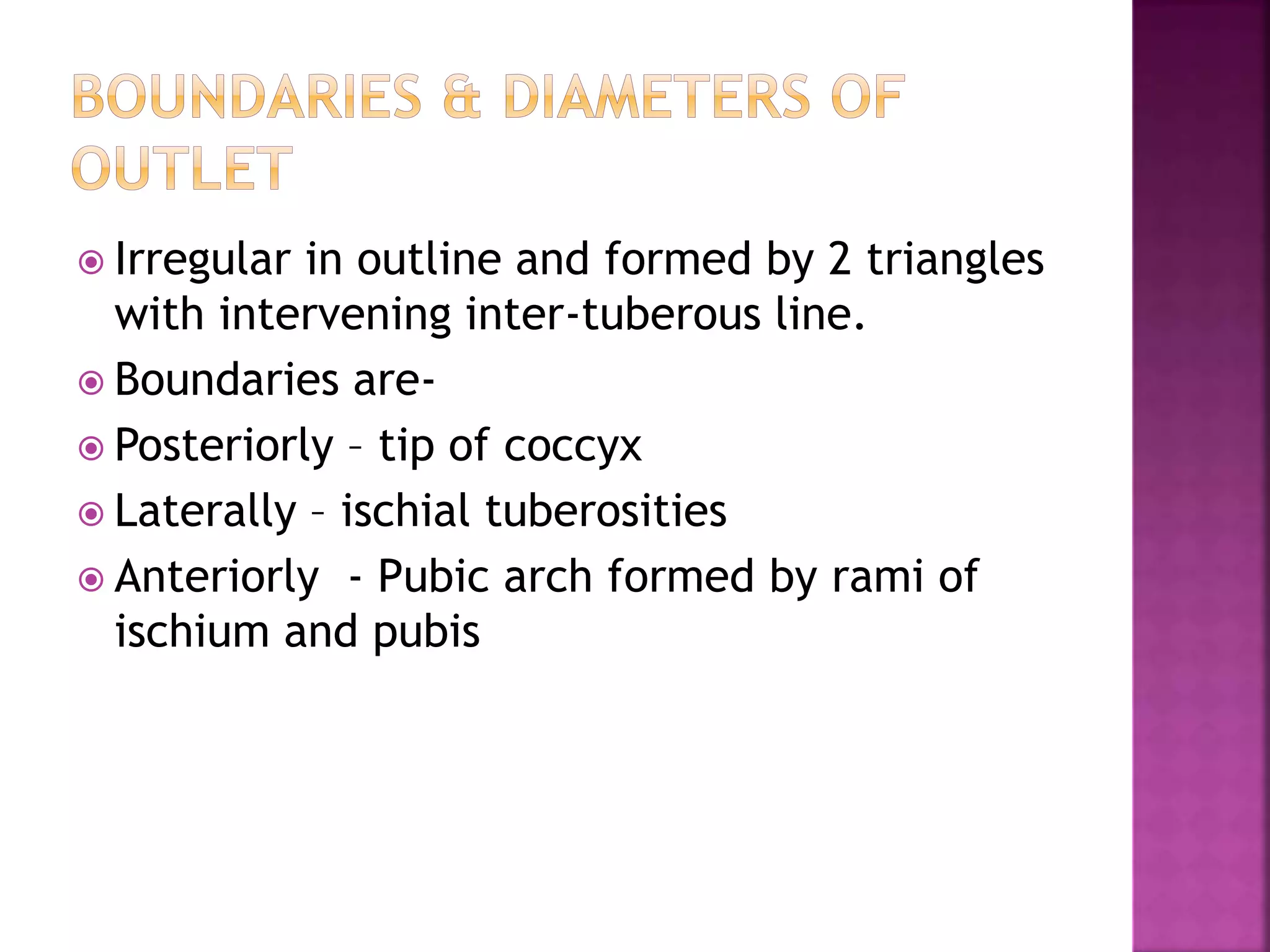 Pelvis - Obstetrical Significance | PPTX | Death, Injury, or Military ...