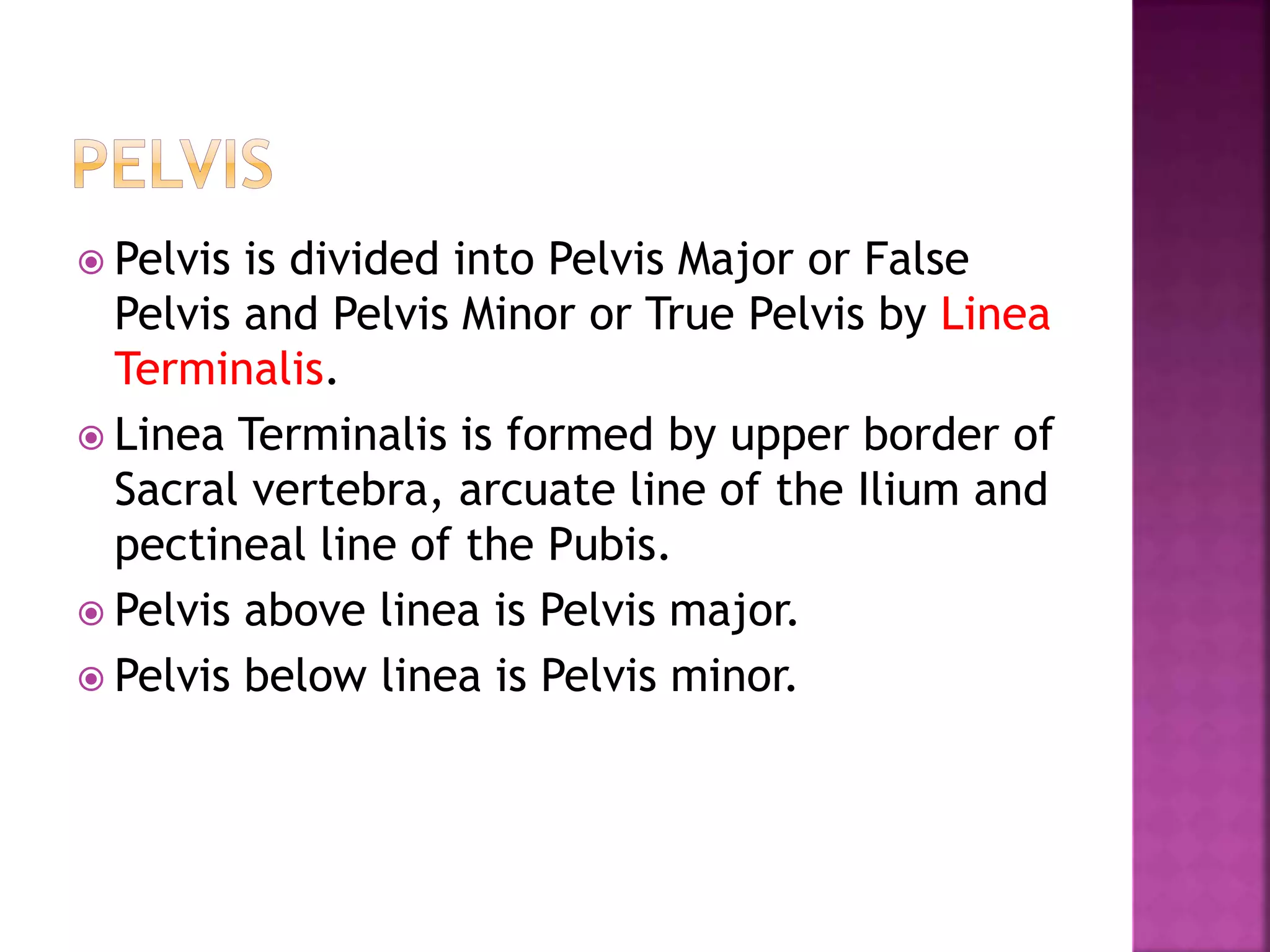 Pelvis - Obstetrical Significance | PPTX
